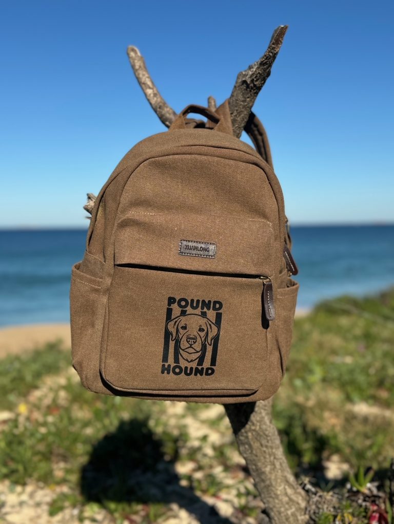 Canvas Backpack - Brown
